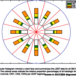 Distribution of CIN LEEP segments among women in SUCCEED diagnosed as ...