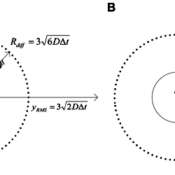 Three dimensional stochastic off-lattice model.