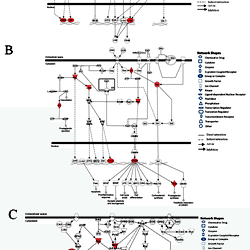 Most significant three canonical pathways of over-expressed genes in ...
