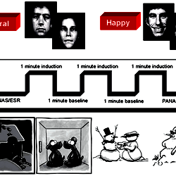 Examples of the stimulus material used in the experiment.