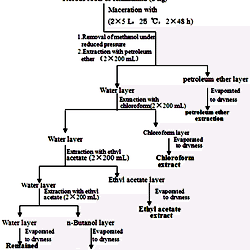Flow chart of extraction procedures.