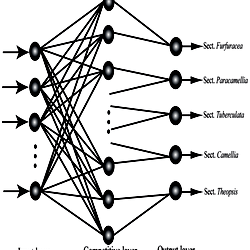 Schematic diagram of LVQ-ANN.