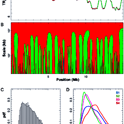 Replication timing profiles segmented in CTRs/TTRs and multiscale ...