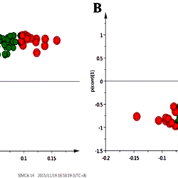 S-Plot for gene selection of different classes.