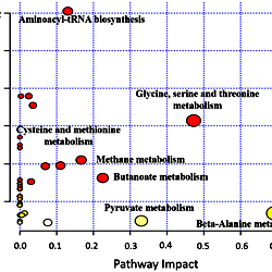 Pathway analysis of the metabolites in the E. coli cells that were ...