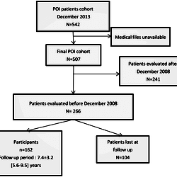 Flow chart of the POI patients included in the study.