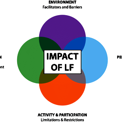 The impact of LF: an adapted ICF model.
