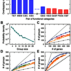 Characteristics of correlog groups in the MRS.