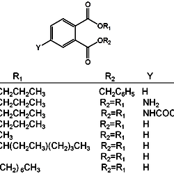 Structures of DBP and analogues.