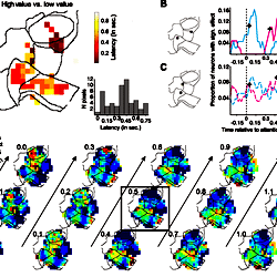 Latency and temporal evolution of the attention effect of target value.