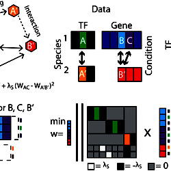Schematic representation of design matrix construction.