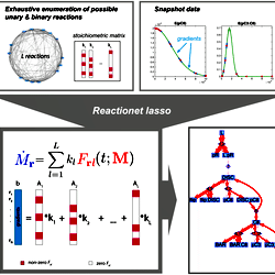 Schematic representation of reactionet lasso procedure.