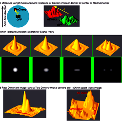 Single molecule signal processing.