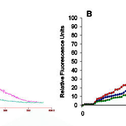 Item - NPN uptake assay. - Public Library of Science - Figshare