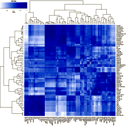 Hierarchical clustering is used based on the correlation of all data at ...