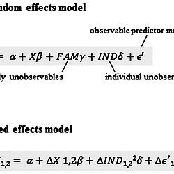 The fixed effects model.