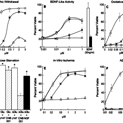 Biological Activities of J147.