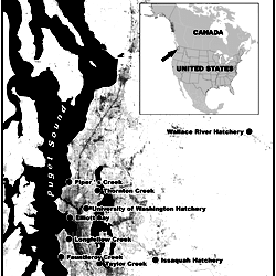 Stream survey and sample collection locations.