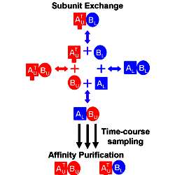 Overview of the MASE method.