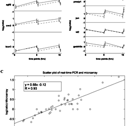 Comparison of microarray data with real-time PCR data.