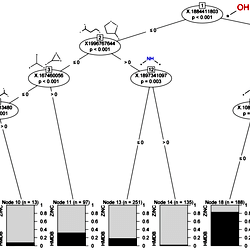 Conditional inference tree of the ECFP_4 features in the training set.