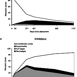 Substrate composition over time on the plate nursery microhabitats.