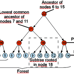 Illustration of specific key terms: subtree, tree, forest, parent ...
