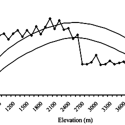 Mid-domain effect null model.