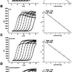 Application of the real-time DOP-PCR to diverse DNA species.