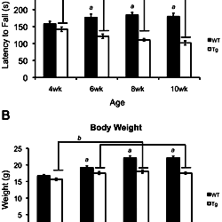 Motor coordination and skill learning on the rotarod and body weights ...