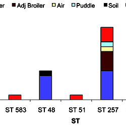 Distribution of STs detected according to source (asterisks signify new ...