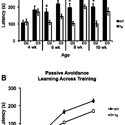 Passive avoidance learning across 4 ages.