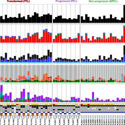 High-level WGS analysis overview.