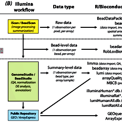 Overview of the technology and workflow.
