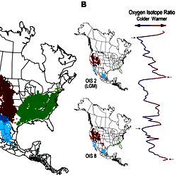Paleophylogeographic distribution models for three species of ...