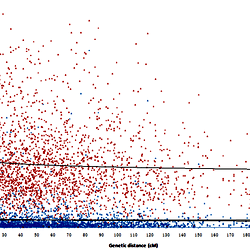 LD decay plot within the entire population.