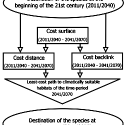Principle of the least-cost analysis.