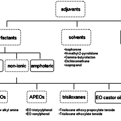 Overview of major types of adjuvants.