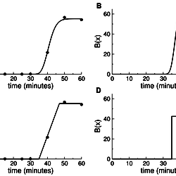 The burst function and its derivation from a 1-step growth curve.