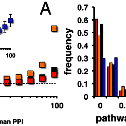 Pathway specific characteristics of predicted and external interactions.