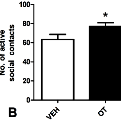 Social interaction test.