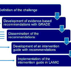 Steps in the formulation and implementation of the mhGAP Intervention ...