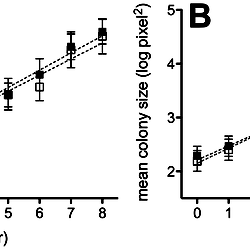 Bacterial growth in micro-colonies measured microscopically using Water ...