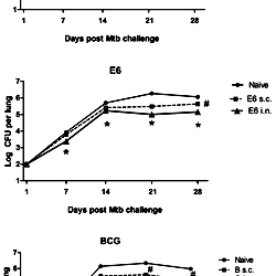 Kinetics of Mtb growth after s.c. and i.n. immunization.