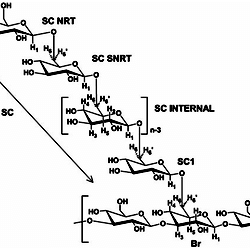 Schematic structure of the poly-(1→6)-β-D-glucan side chain containing ...