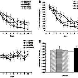Performance of the rats in the Morris water maze.