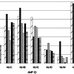 Average base coverage (x) per AMP and sample.