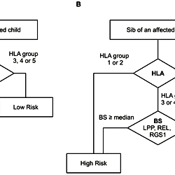 Classification flow-chart.