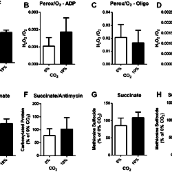 H2O2 production from isolated mitochondria is not increased by bicarbonate.