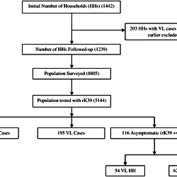 Outline of the different cohorts identified during the initial screening.